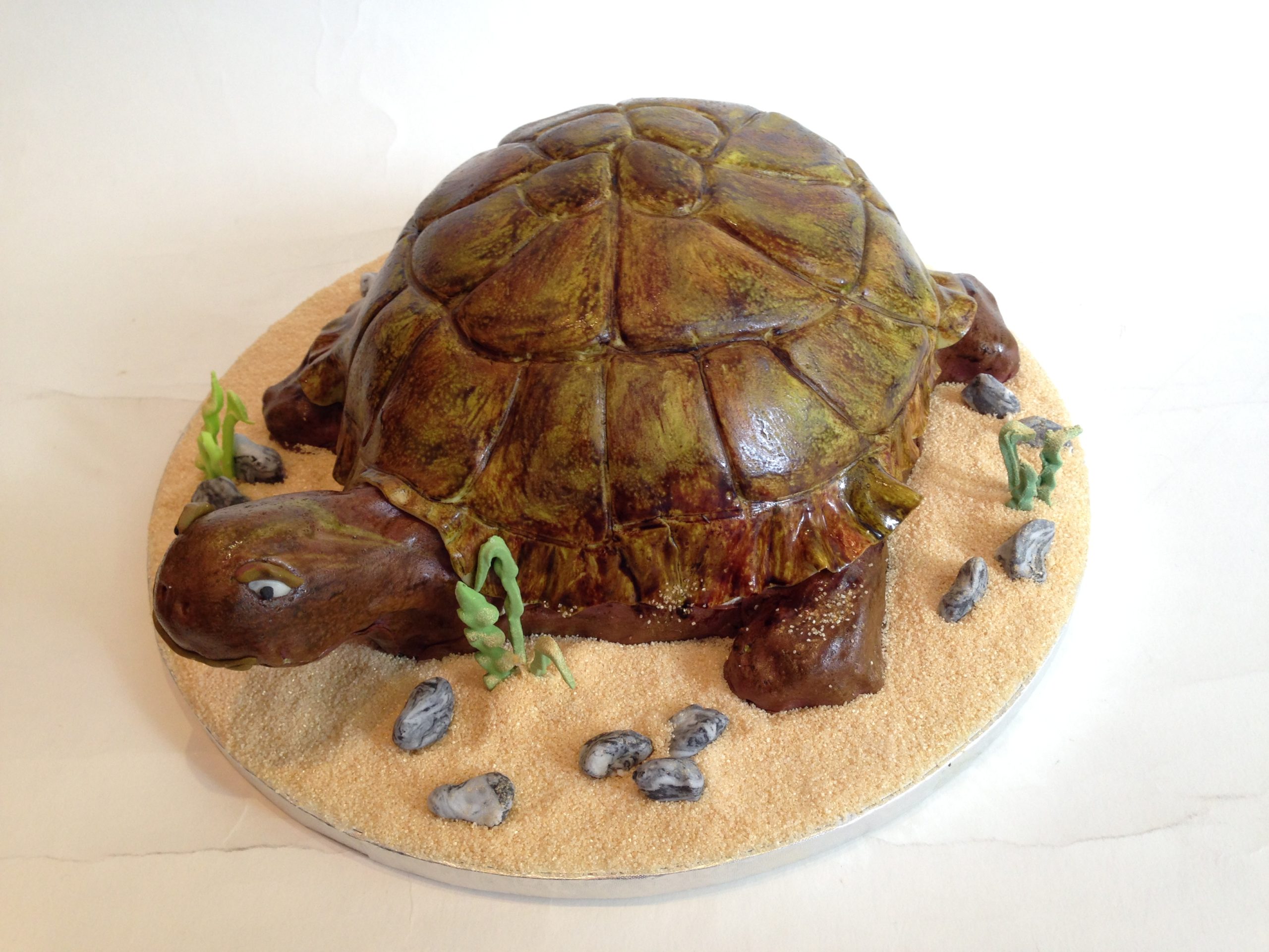 Schildkrötentorte | Mobile Tortenwerkstatt